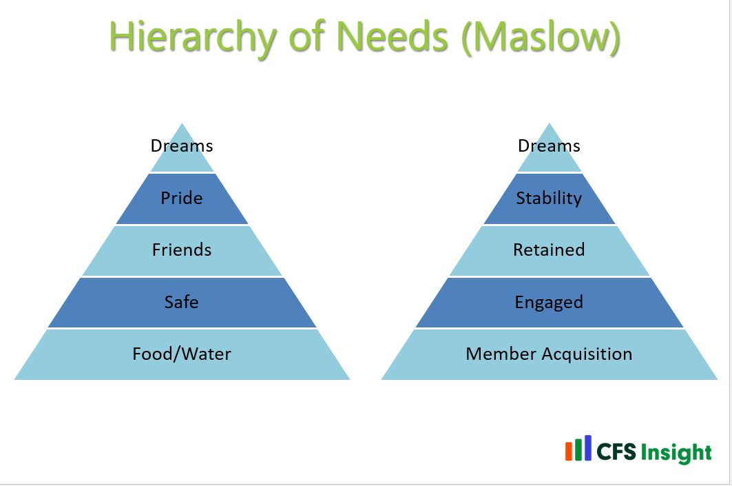 Services | CFS Insight